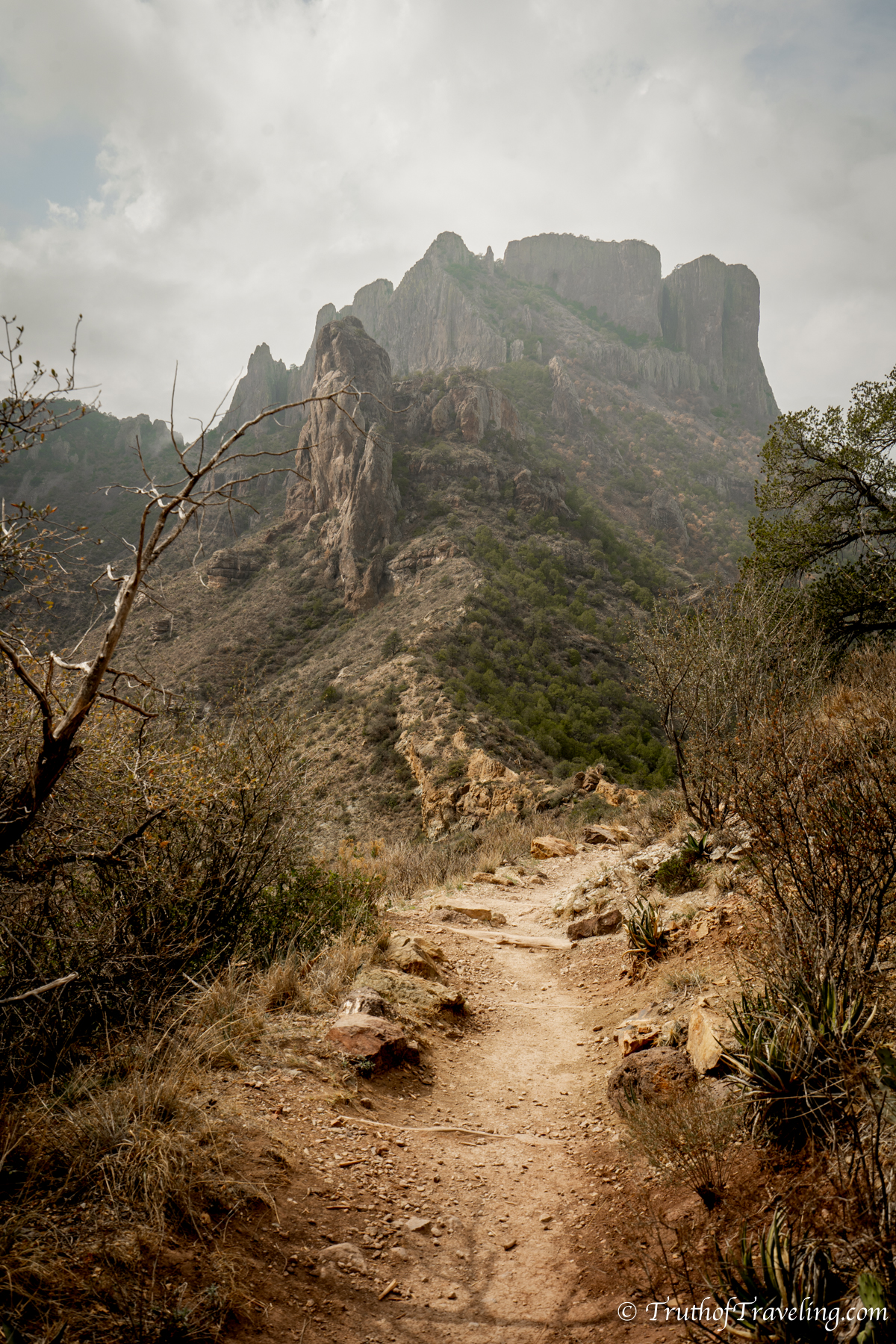 Our Top Hiking Essentials - Truth of Traveling